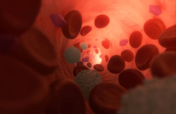 The Basics of PRP Therapy